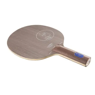 Stiga Dynasty Carbon Xu Xin